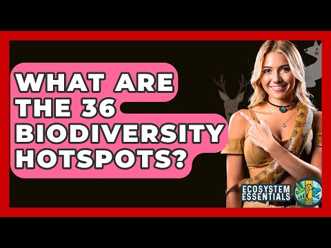 What Are The 36 Biodiversity Hotspots? - Ecosystem Essentials
