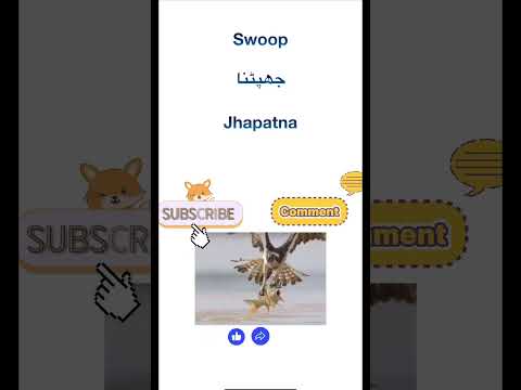 Swoop pronounciation & means in Urdu &hindi|jhaptna means in English@H2sev