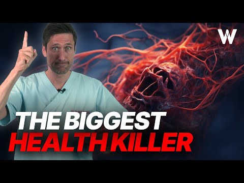 Death by belly fat? Correct eating pattern & TOP tips for a healthy flat stomach!