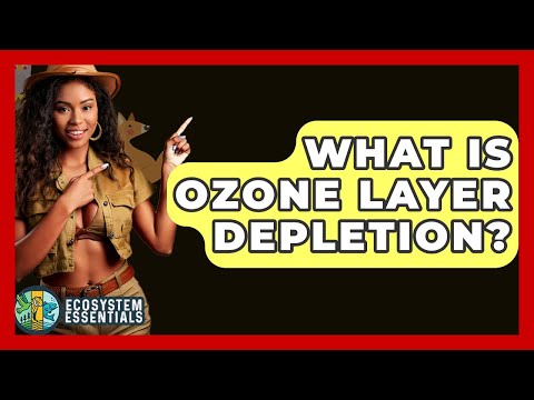 What Is Ozone Layer Depletion? - Ecosystem Essentials