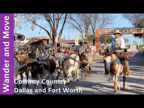 Cowboy Country (Dallas and Fort Worth) – Wander and Move