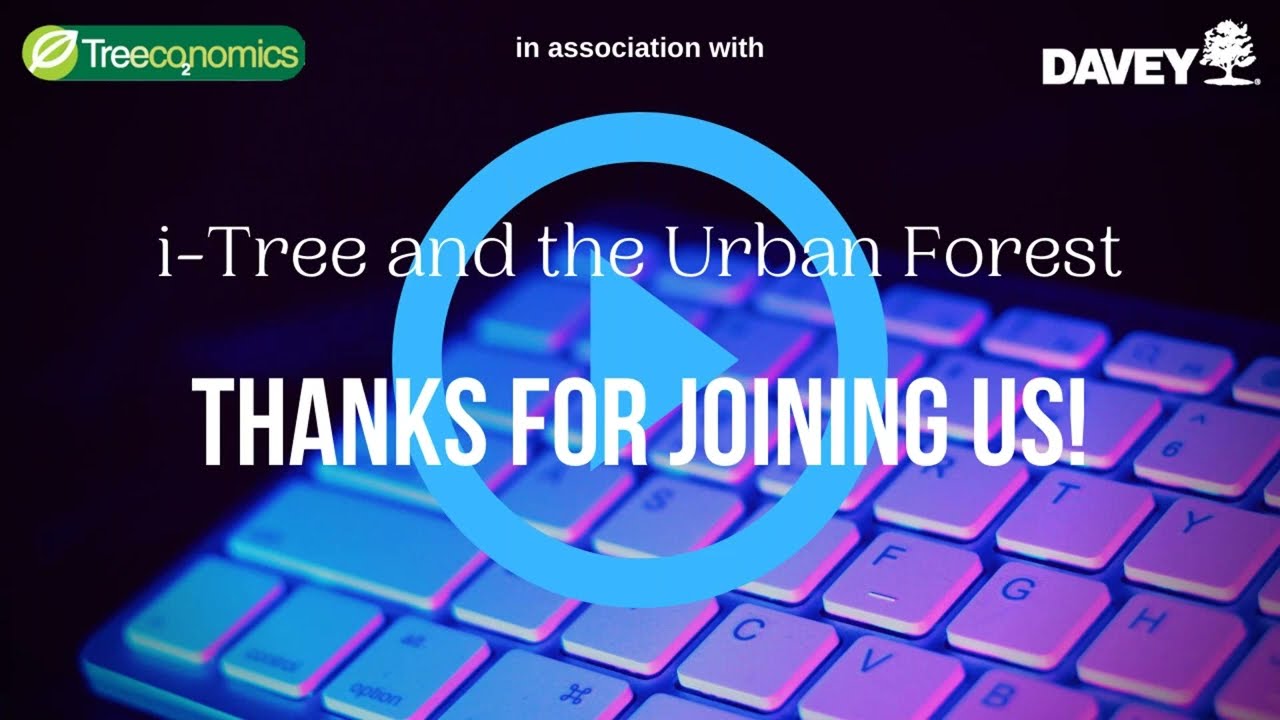 i Tree and the Urban Forest