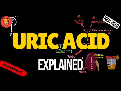 Uric Acid & Urate-Lowering Drugs EXPLAINED: Allopurinol, Febuxostat & Rasburicase Mechanisms (USMLE)