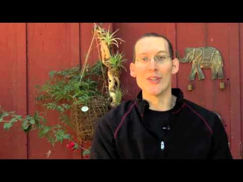 High school curriculum series: introduction