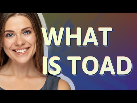 Toad | meaning of Toad