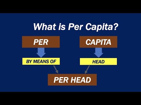 What is Per Capita?