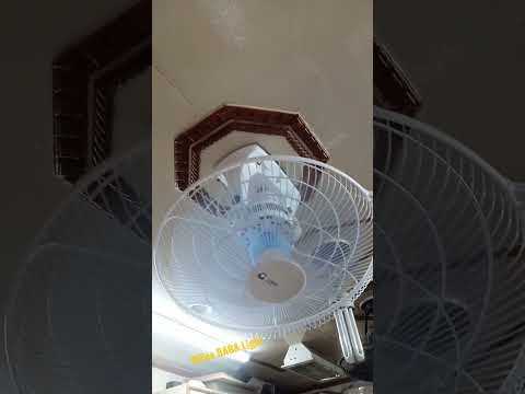 ROTO53 Orient Fan
