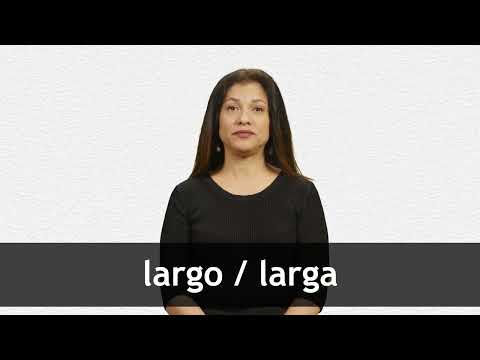 English Translation of “LARGO” | Collins Spanish-English Dictionary
