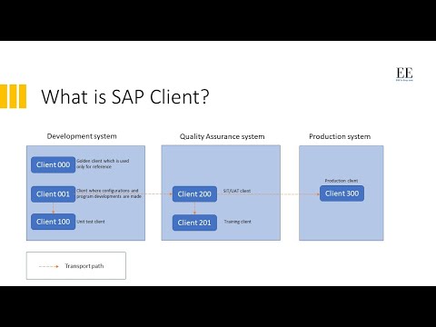 What is SAP Client | A high-level overview of SAP Client concept