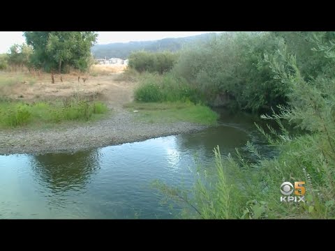 Retracing The Gilroy Garlic Festival Gunman's Final Steps
