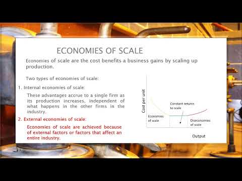 Internal Economies of Scale