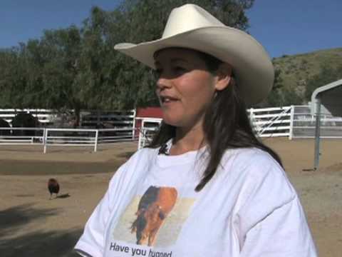 Gentle Barn Foundation Rescues Abused and Neglected Animals