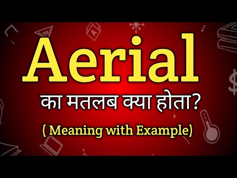 Aerial Meaning in Hindi | Aerial Ka Matlab kya Hota hai | English to Hindi dictionary