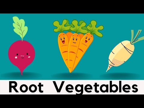 Learn 10 Names Of Root Vegetables With Spelling | Easy Spelling Words
