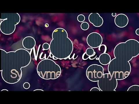 Lexique :Synonymes et antonymes ce2
