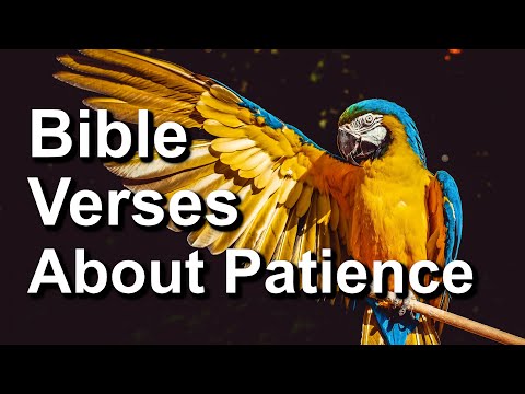 10 Bible Verses About Patience - Learn How To Be Patient According To The Word Of God