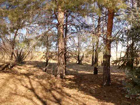 4579 NE County Line Rd Erie, CO 80516