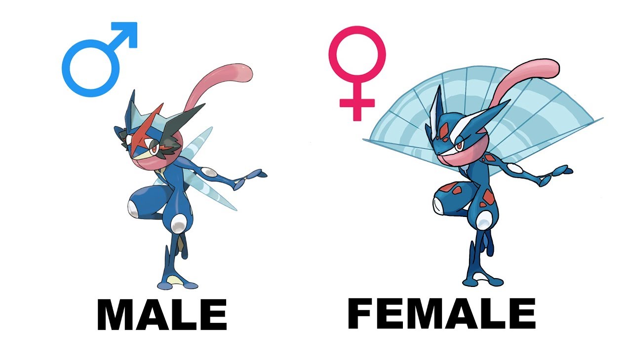 All Starters Pokemon Evolution Gender Difference Fanart