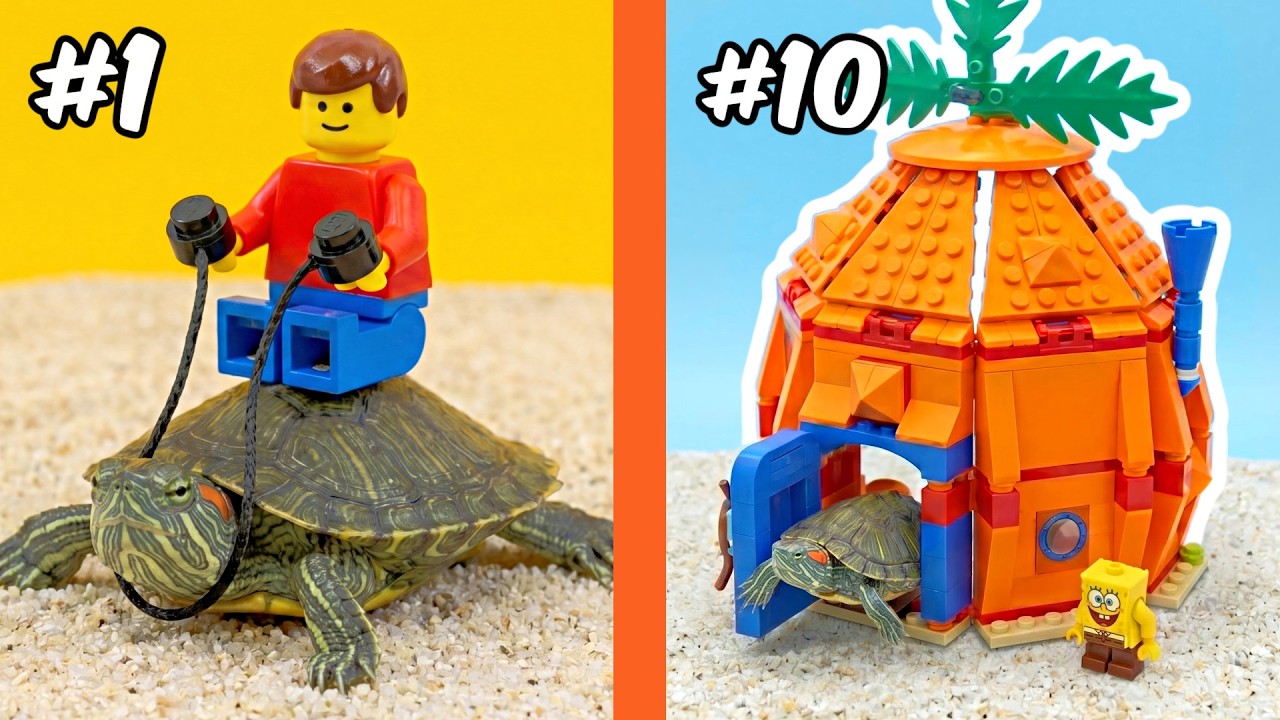 LEGO BUILDS for a TURTLE...