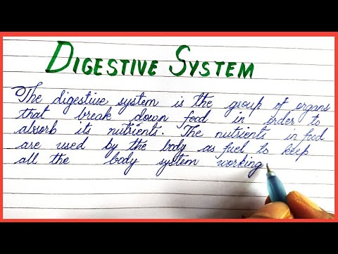 What is Digestive system | Definition of Digestive system