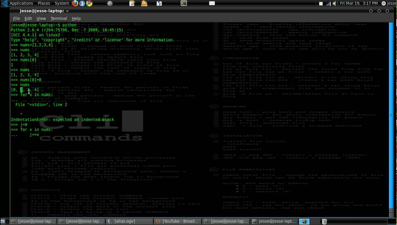python tutorial in Linux (lists/arrays)
