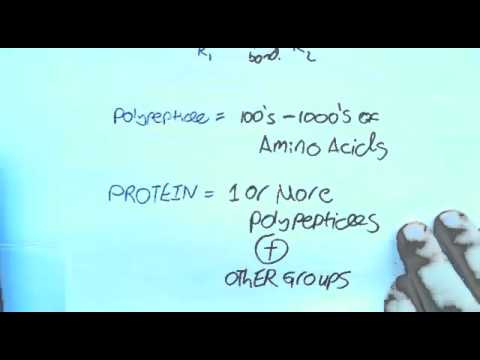 2.5 Proteins