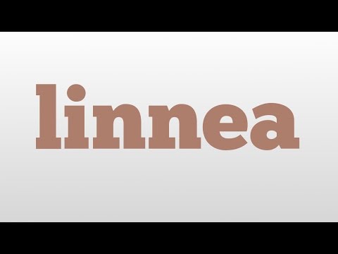 linnea meaning and pronunciation