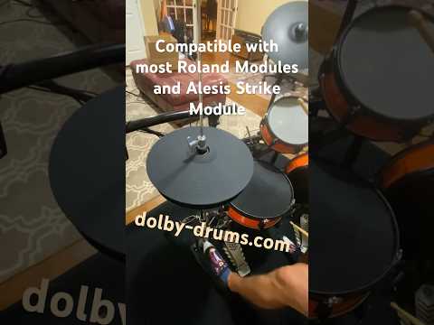 Lemon HHC12 12” Hi Hat Cymbals for Roland Alesis Strike 2 | Reverb