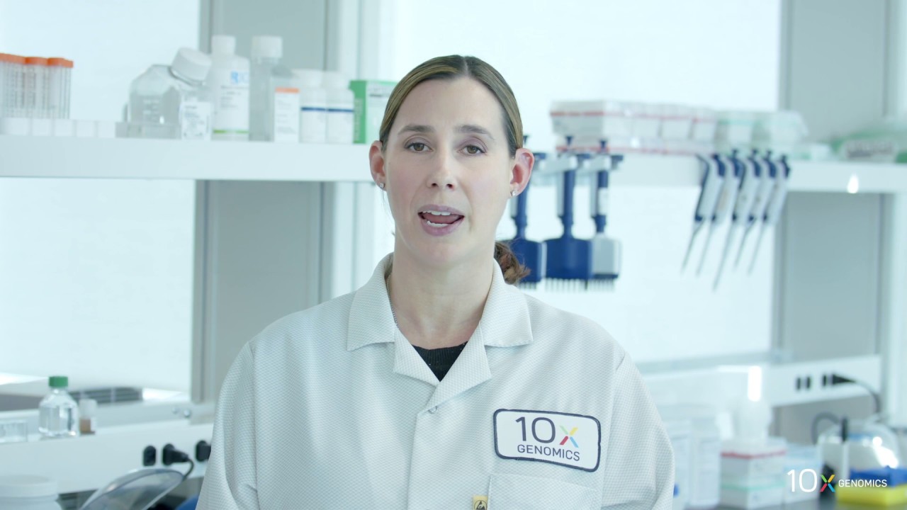 Visium Spatial Gene Expression Protocol | cDNA Amplification