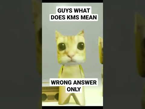 What does KMS mean #shorts #trend #funny