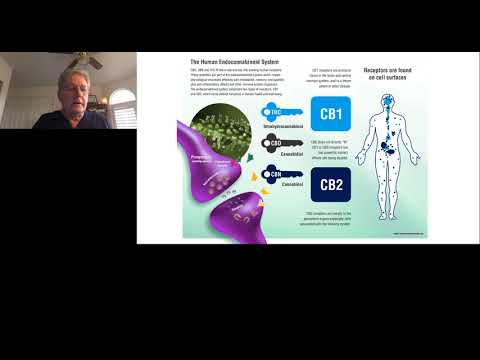 Cannabis 101 for the Healthcare Professional: