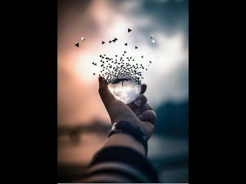 Amazing and cute profile pictures/ beautiful wallpapers/what’s up dp images