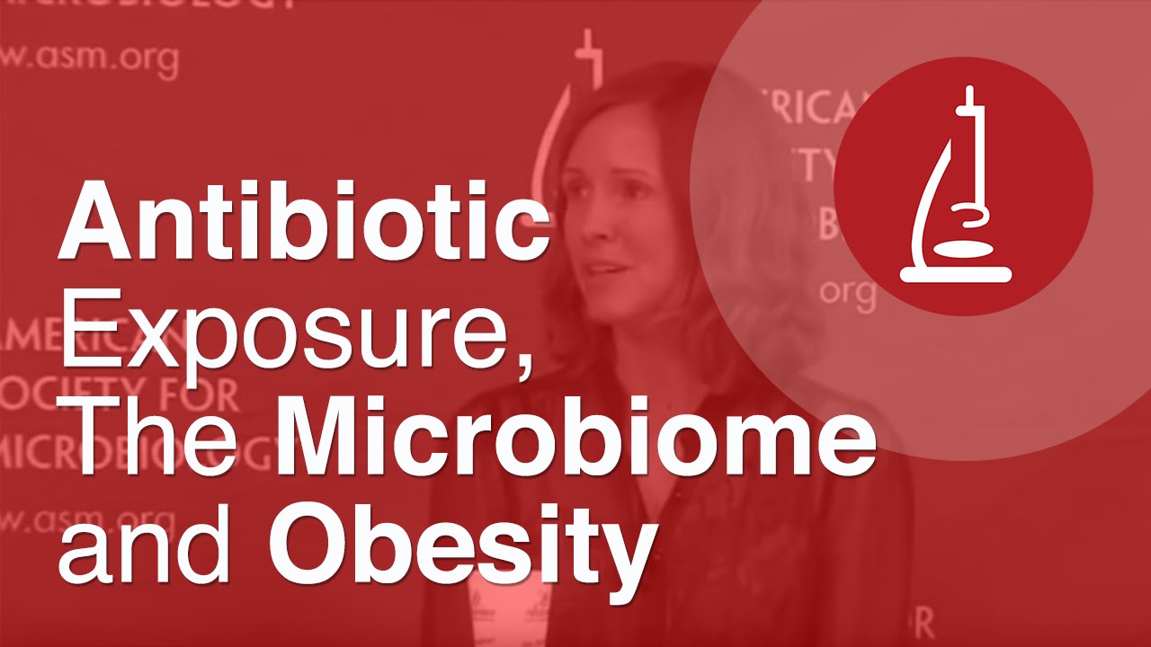 Antibiotic Exposure, The Microbiome and Obesity