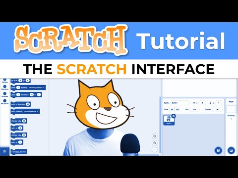 The Scratch Programming Interface