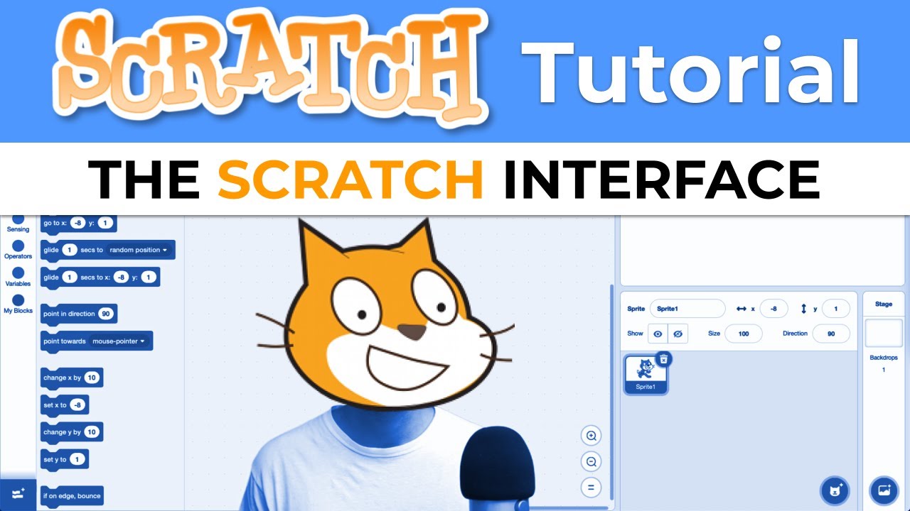 The Scratch Programming Interface