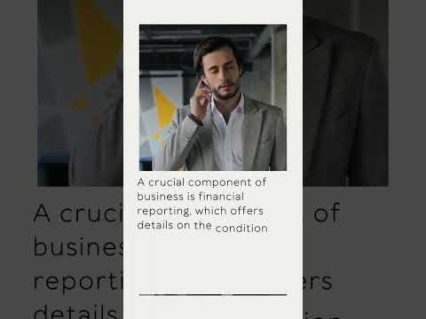 What Does a Director's Report Contain?