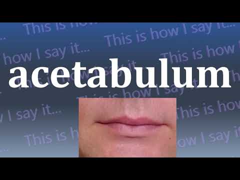 This is How I Say...acetabulum
