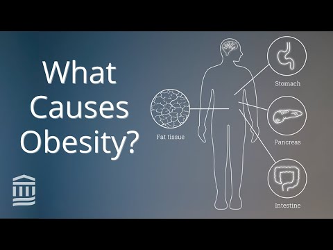 Obesity: Causes, Health Conditions, and Treatment | Mass General Brigham