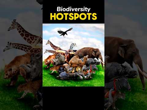 BIODIVERSITY HOTSPOTS #biodiversityhotspots || WHAT ARE BIODIVERSITY HOTSPOTS #viral#shorts