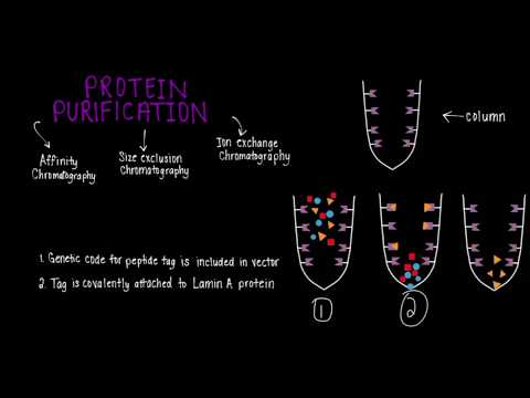 Cytopirate 6-minute Science: Hutchinson-Gilford Progeria Syndrome and Subcloning