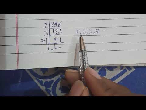 prime factors of 246