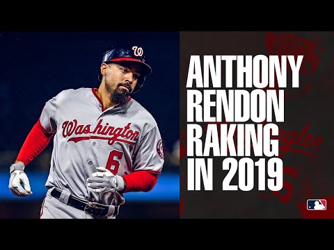 Anthony Rendon RAKING in 2019! | MLB Highlights