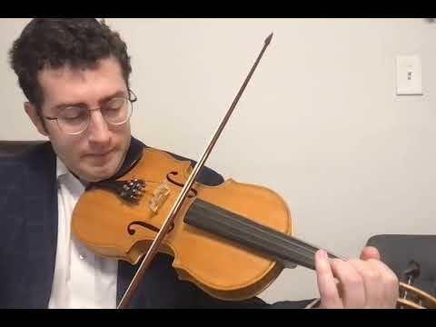 Wilson & Wilson Full Size Violin 1978 | Reverb