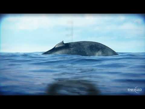 Seismic Surveys: Exploring Our World Animation – Modernize MMPA