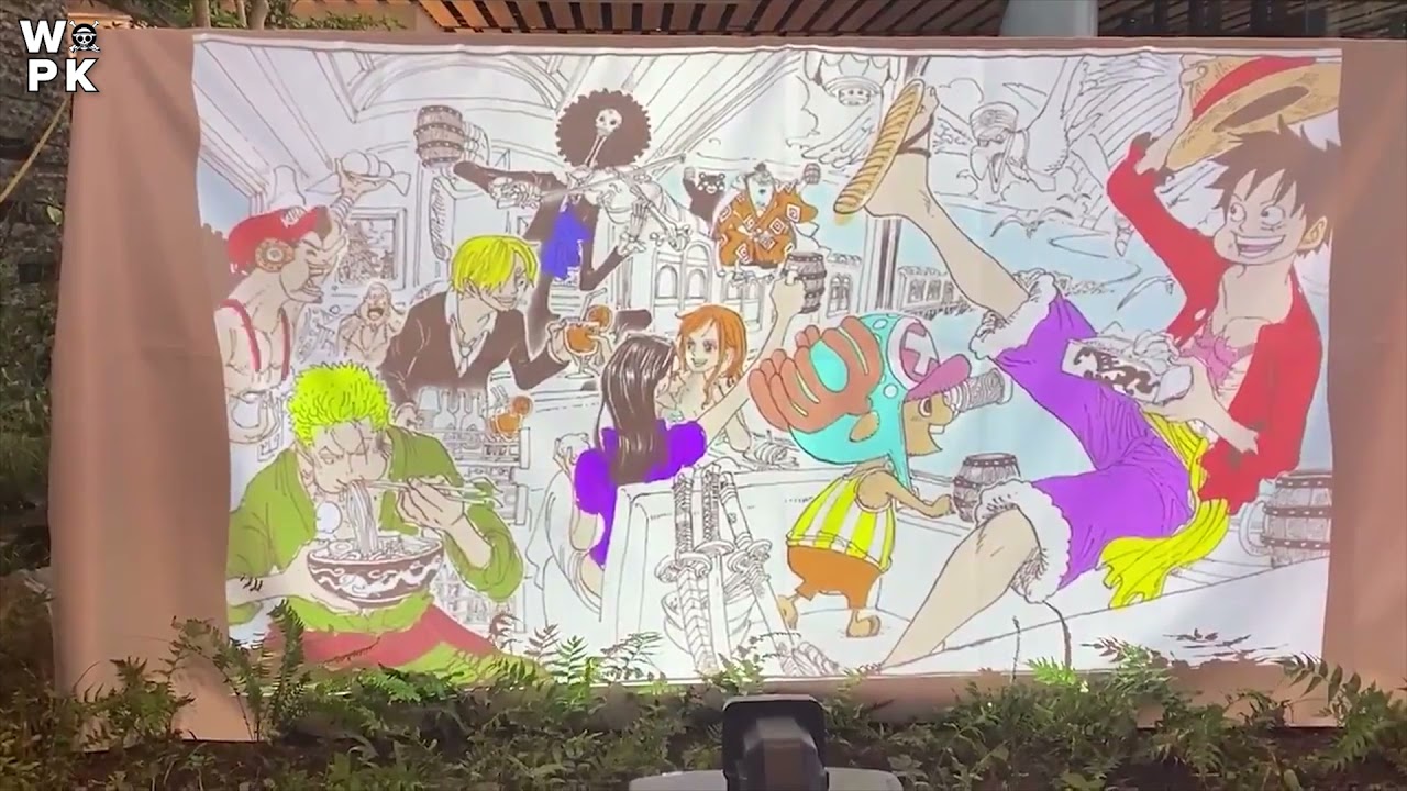 One Piece Color Spread Live Launching