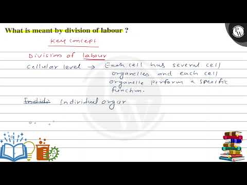 What is meant by division of labour ?
(W