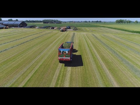 Lammertink Markelo, gras bij de familie Spijkerman