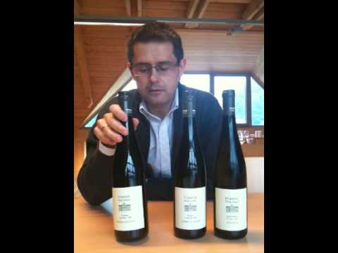 Austrian Wine Adventure Tour #6: Wachau Wine Categories