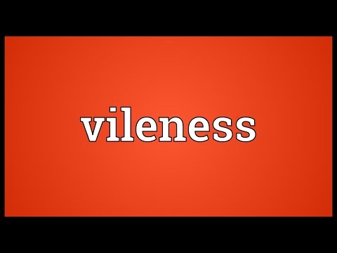 Vileness Meaning