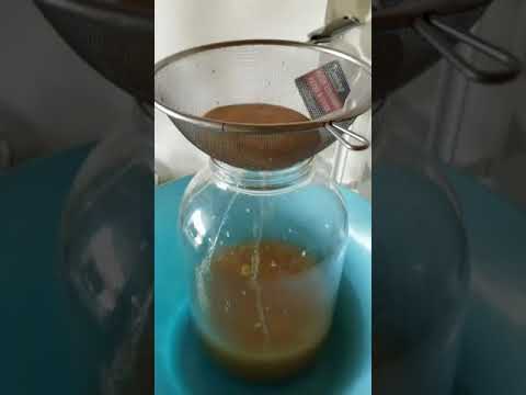 How to Make Fermented Chicken Feed